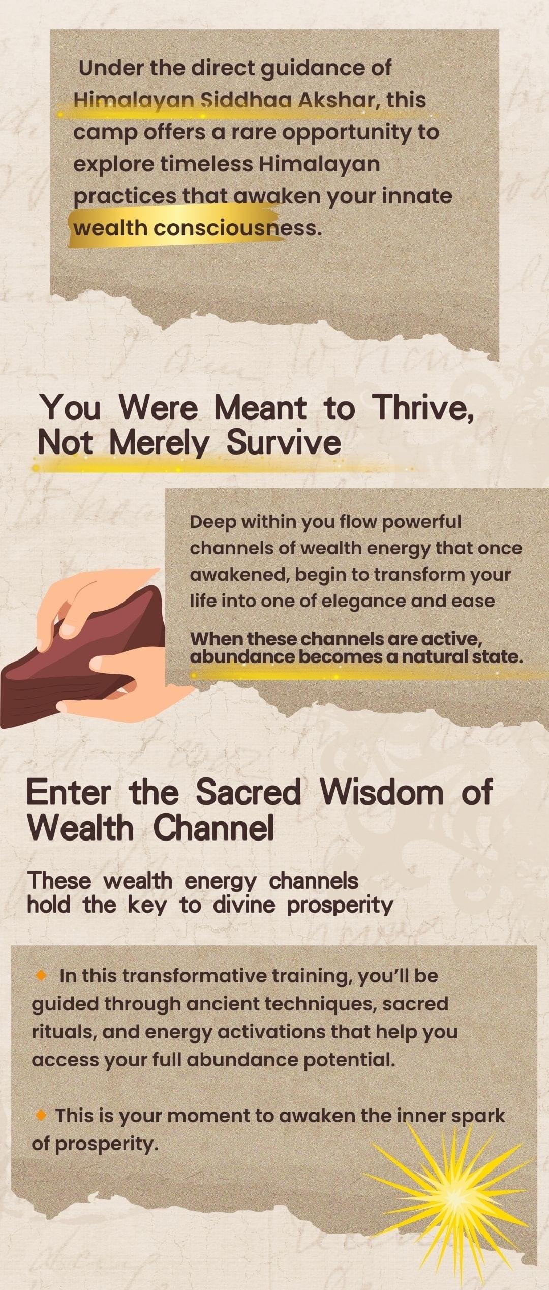Activate Wealth Energy Channel | Awaken Your True Abundance Potential